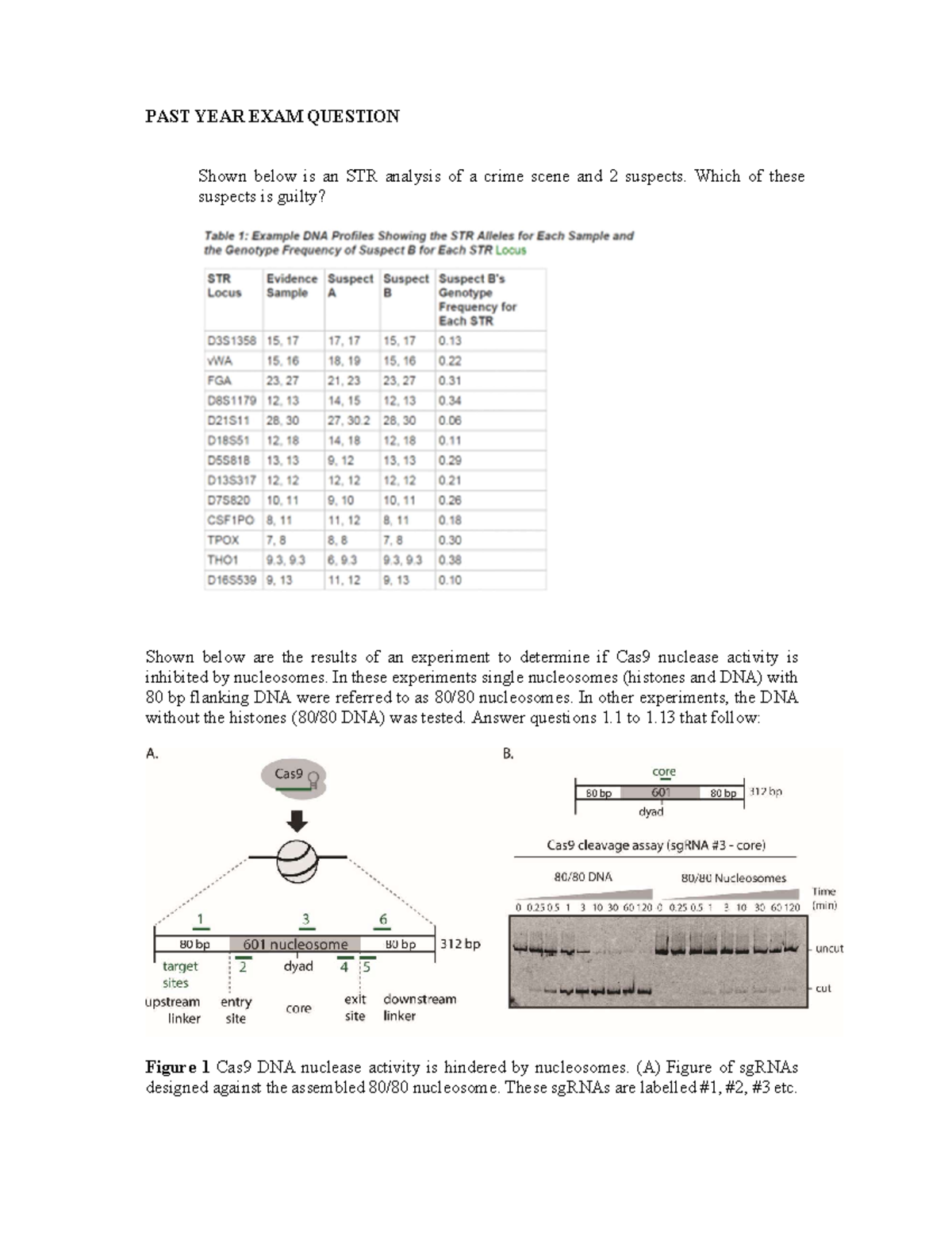 Exam questions - Good practice material - PAST YEAR EXAM QUESTION Shown ...