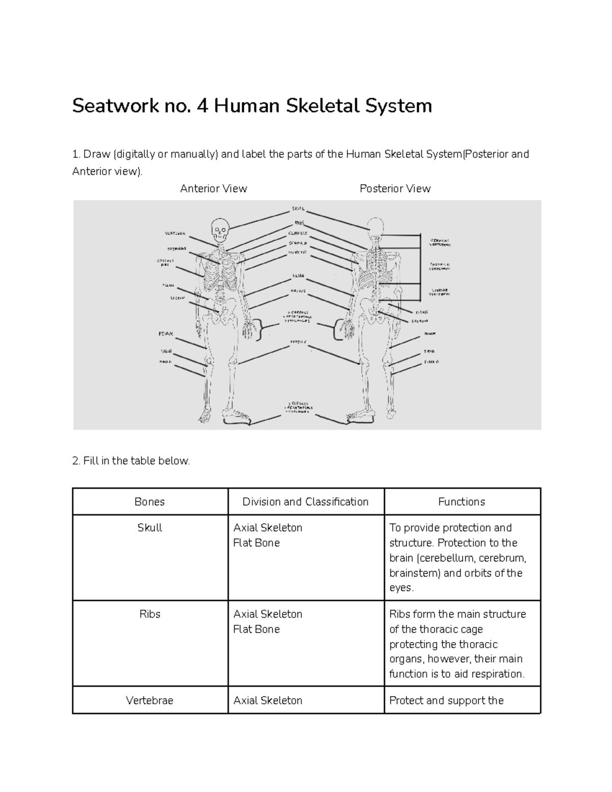 Skeletal System - Seatwork no. 4 Human Skeletal System Draw (digitally ...
