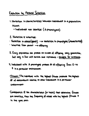 Cat Muscles - Shoulder Muscles Superficial Group scapular spine ...