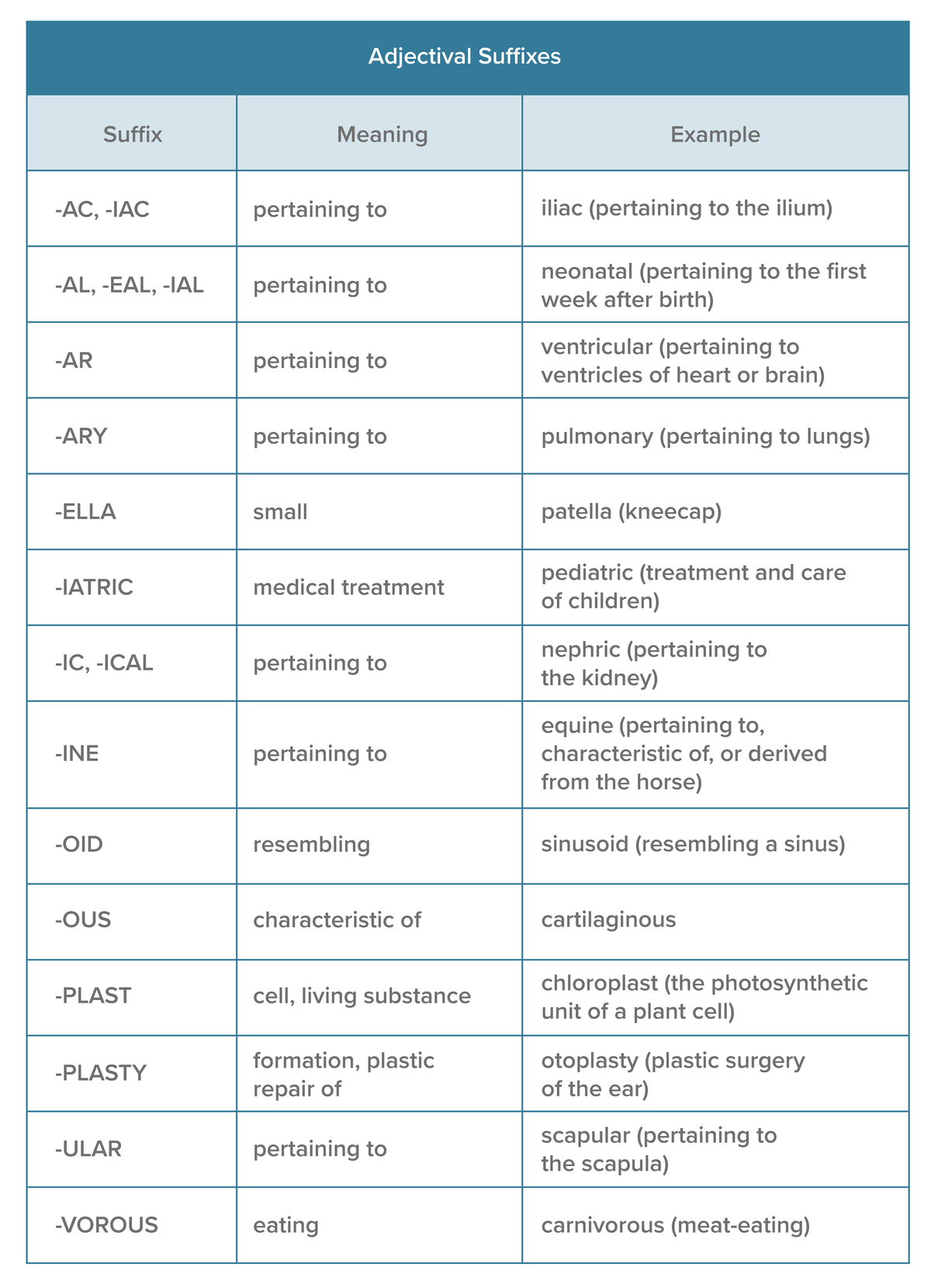 696288 05A - Med terminology -AC, -IAC -AL, -EAL, -IAL -AR -ARY -ELLA ...