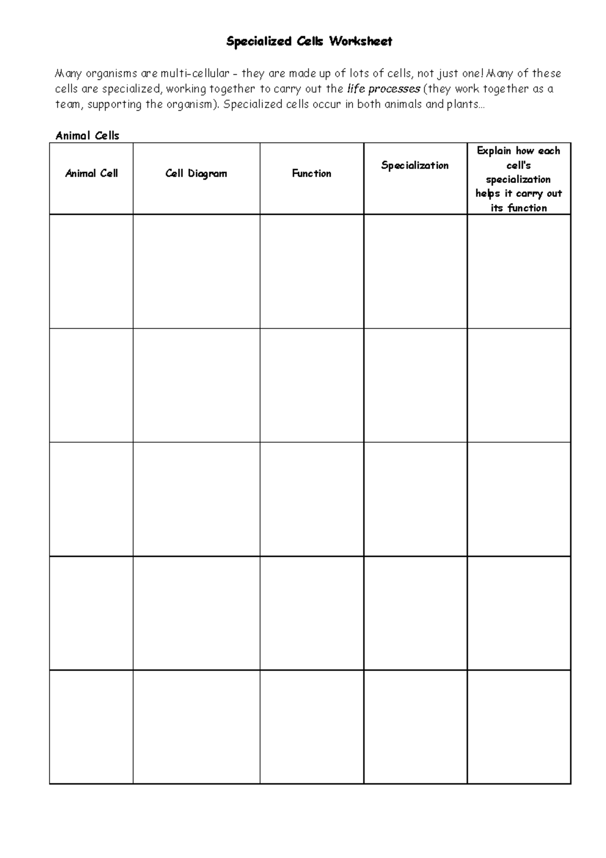 Specialized Cells Worksheet - Specialized cells occur in both animals ...