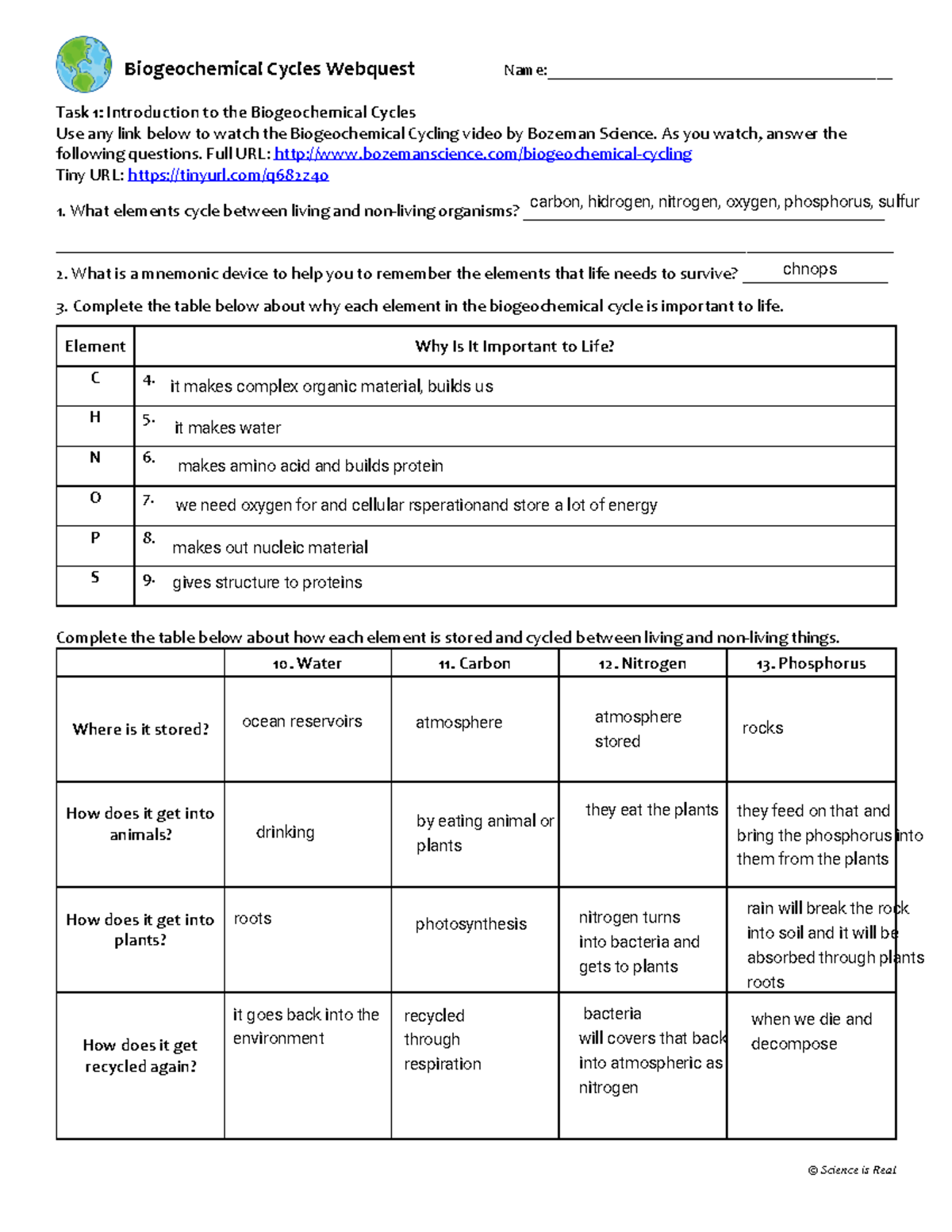 Chase Whitehead - Biogeochemical Cycles Webquest Handout ...