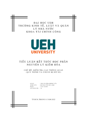 Tiểu luận nguyên lí kiểm hóa - BỘ GIÁO DỤC VÀ ĐÀO TẠO ĐẠI HỌC UEH ...