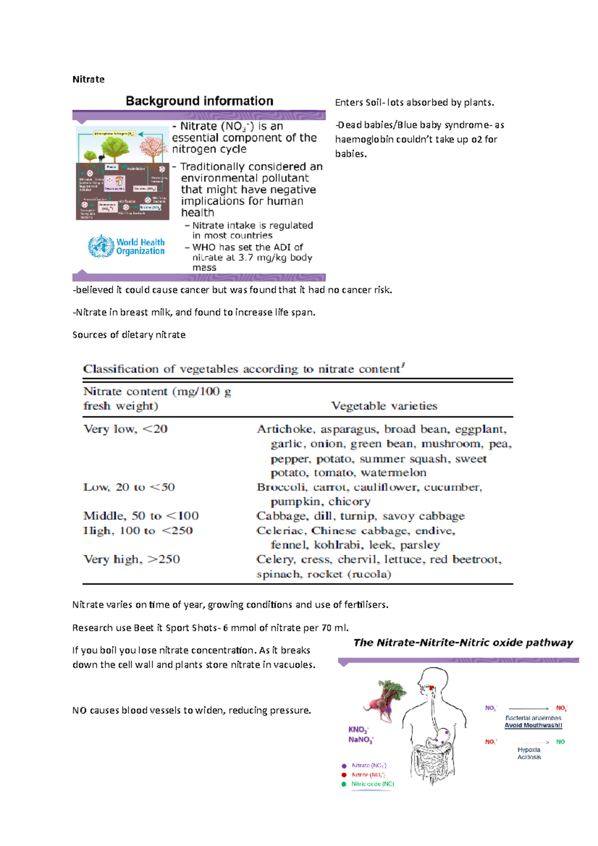 Nitrate - Nitrate Enters Soil- lots absorbed by plants. -Dead babies ...