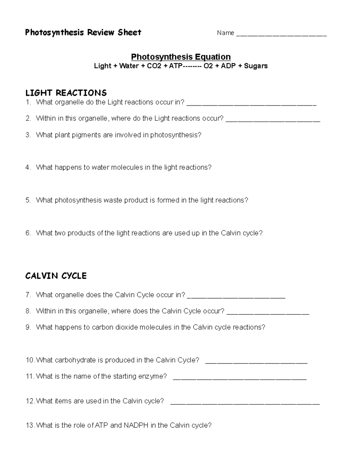 Activity - Photosynthesis Review - Photosynthesis Review Sheet Name