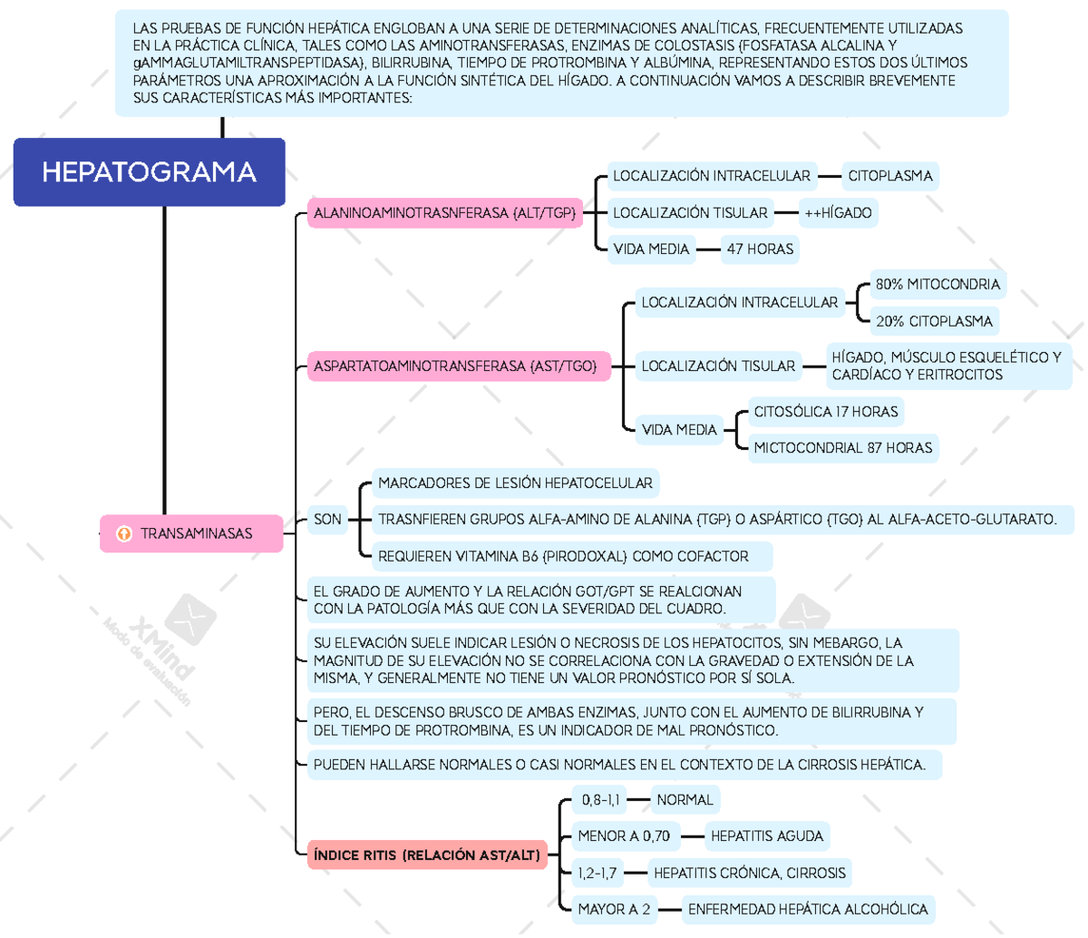 Hepatograma 4 Transaminasas Estefi - tamizaje y ciencias del ...