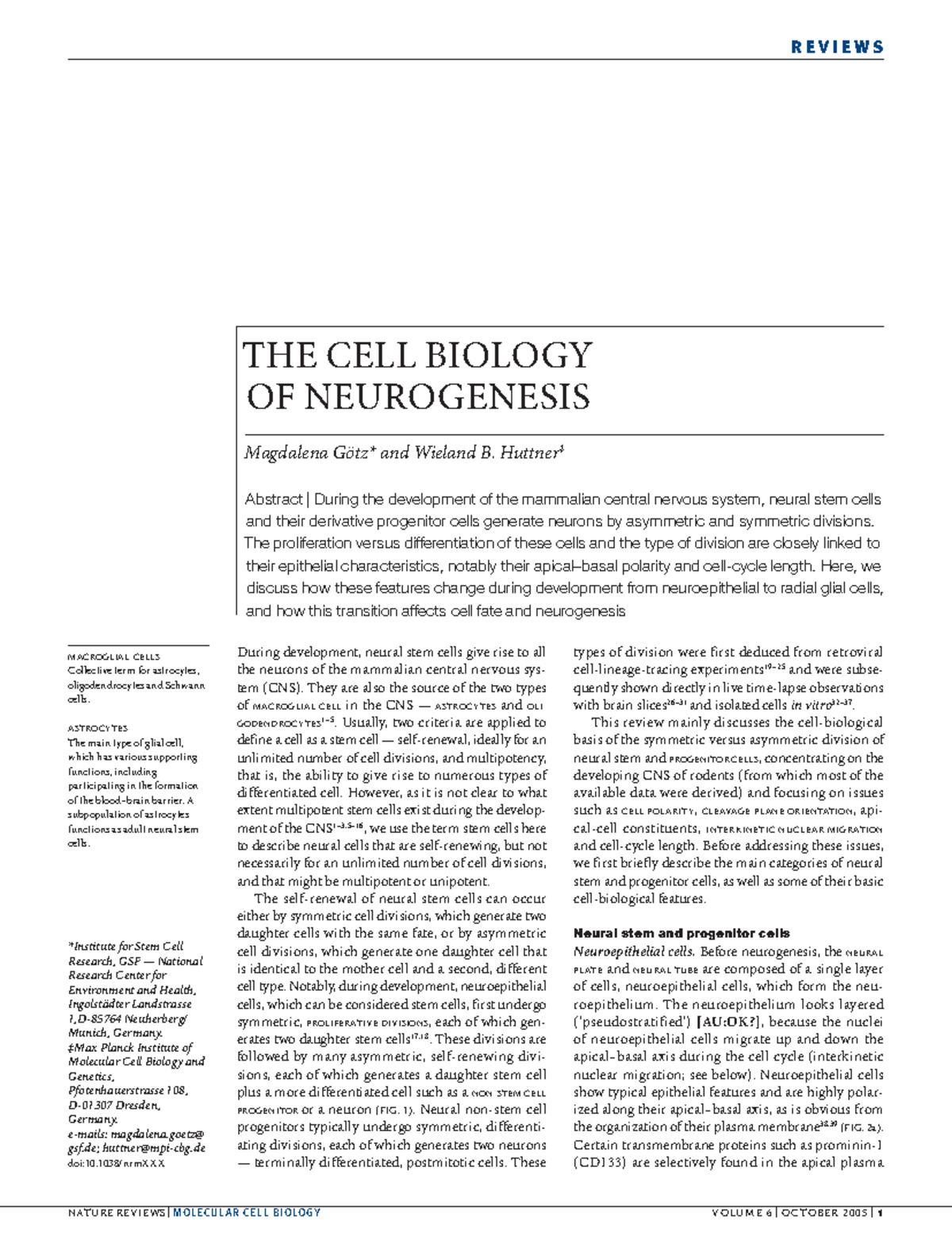 The cell biology of the neurogenesis - ####### *Institute for Stem Cell ...