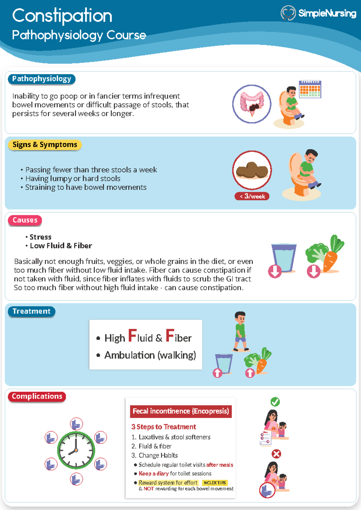 5. Constipation - Function - Constipation Pathophysiology Course ...