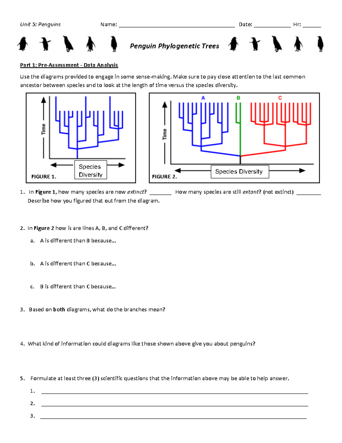 Penguin Phylogeny - Unit 5: Penguins Name ...