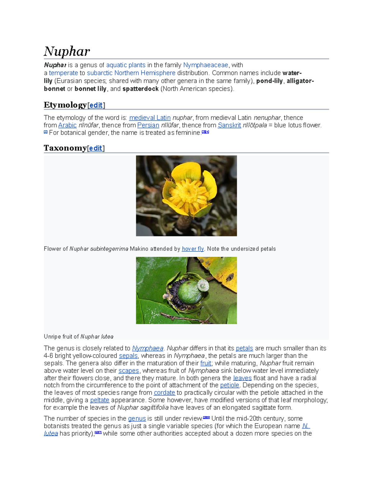 Nuphar - Nuphar Nuphar is a genus of aquatic plants in the family ...