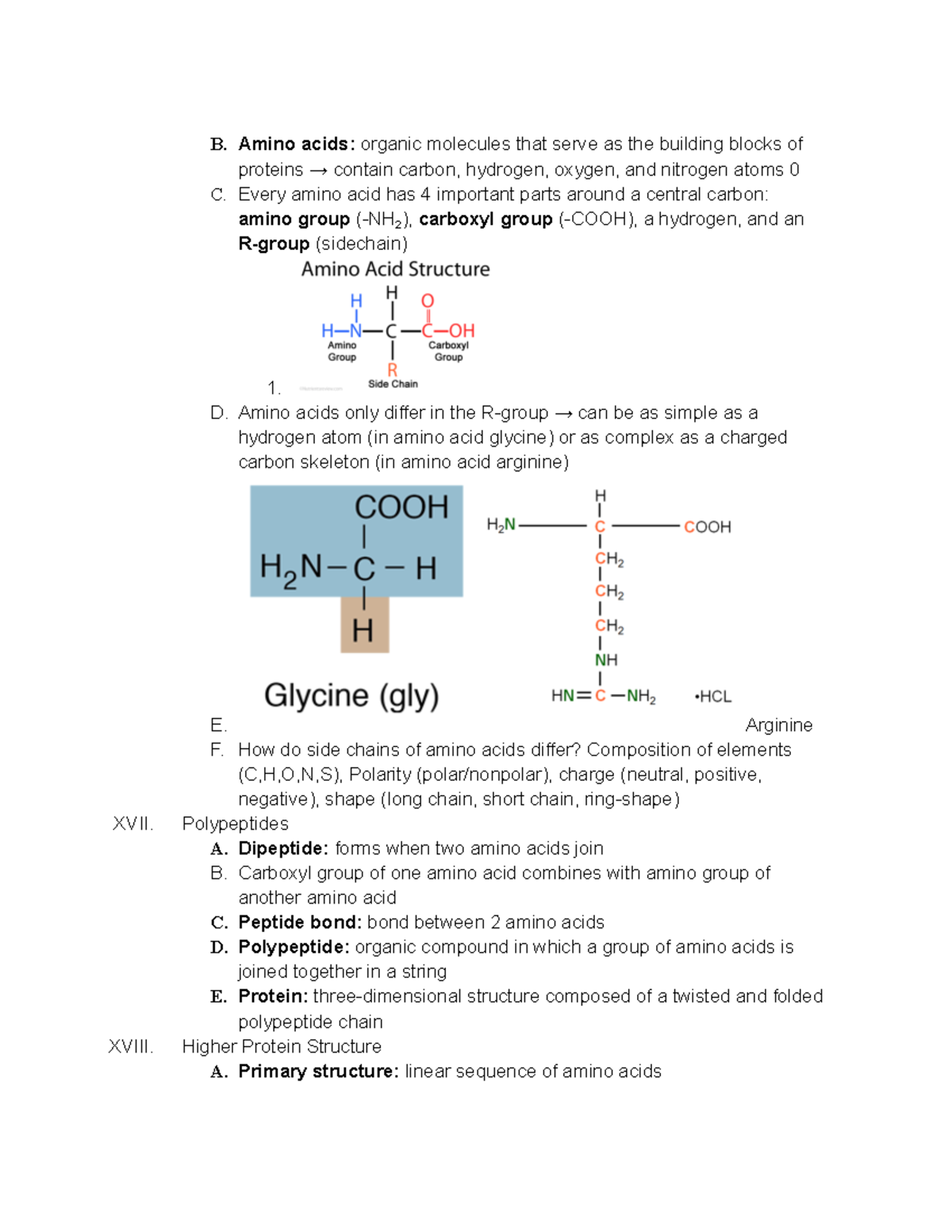 Proteins and Polypeptides - Studocu