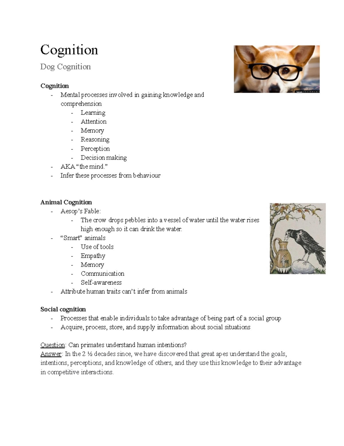 Dog and Cat Cognition - Cognition Dog Cognition Cognition - Mental ...