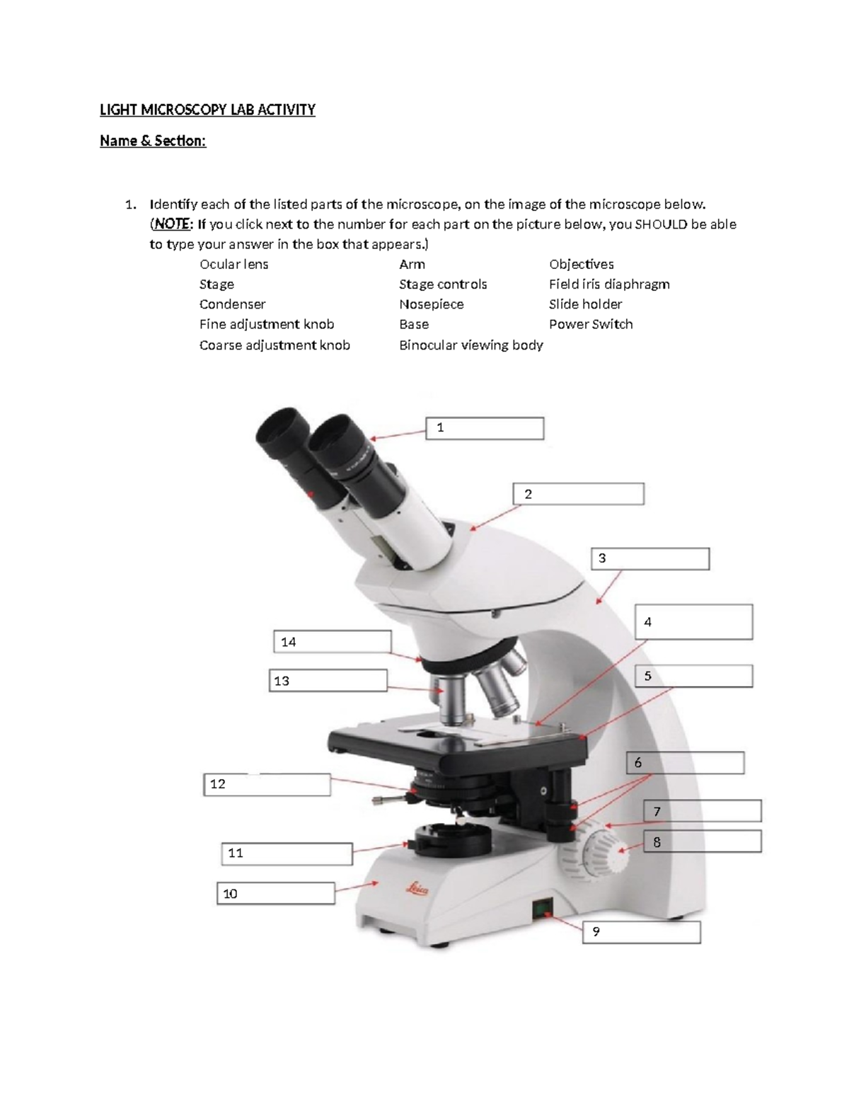 1 - Light Microscopy Lab Activity - LIGHT MICROSCOPY LAB ACTIVITY Name ...