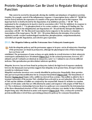 The Immunoglobulin Fold Consists of a Beta - The Immunoglobulin Fold ...