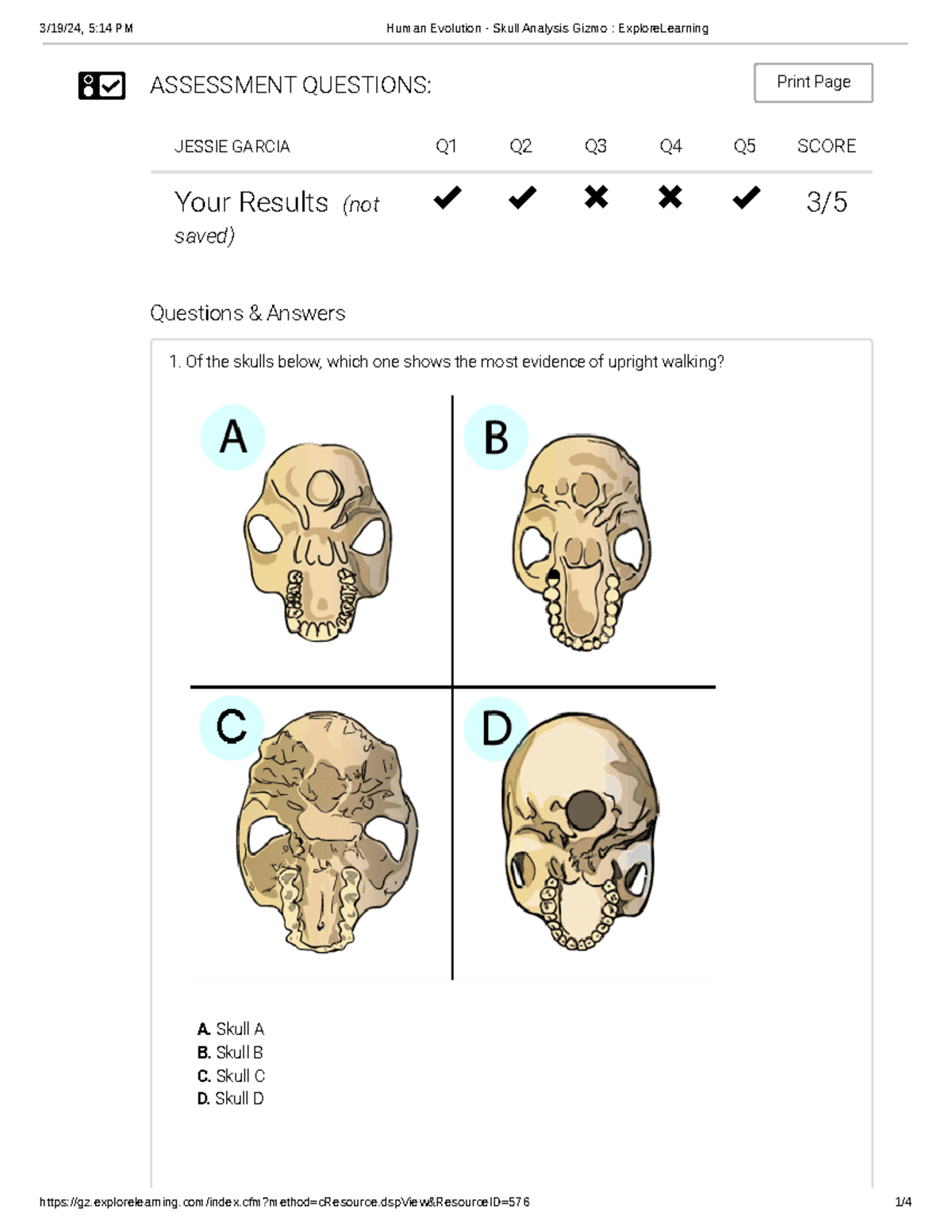 Human Evolution - Skull Analysis Gizmo Explore Learning - ASSESSMENT ...