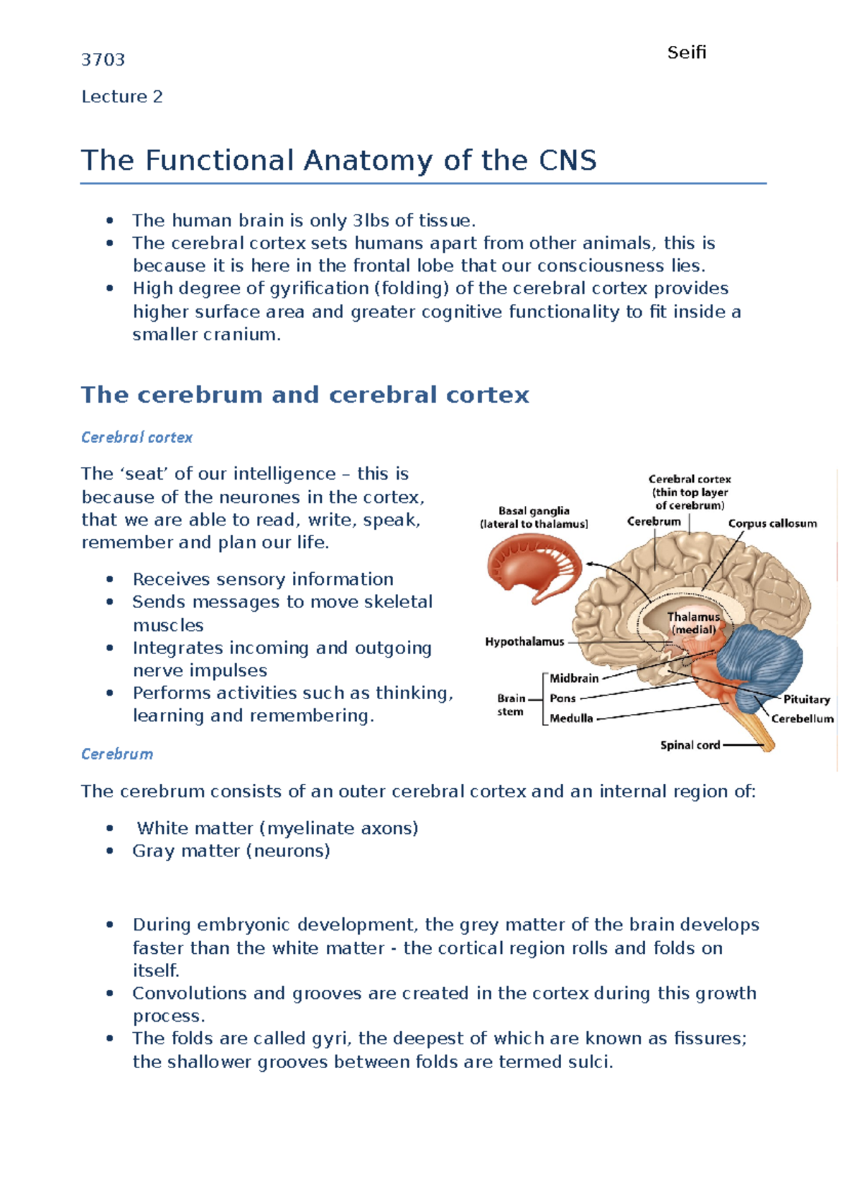 The Functional Anatomy of the CNS - The cerebral cortex sets humans ...