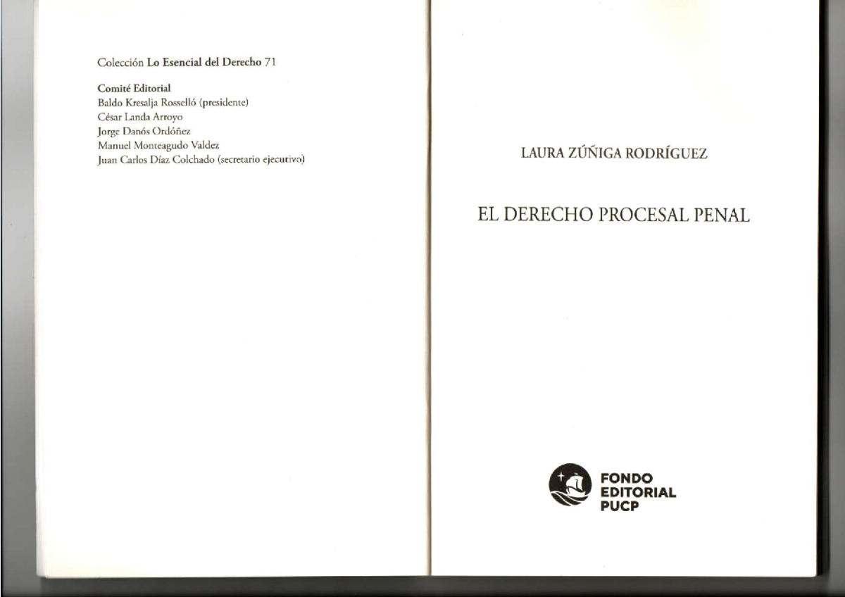 Derecho Procesal Penal Laura Zuñiga - Derecho Civil 4 (obligaciones) - Studocu