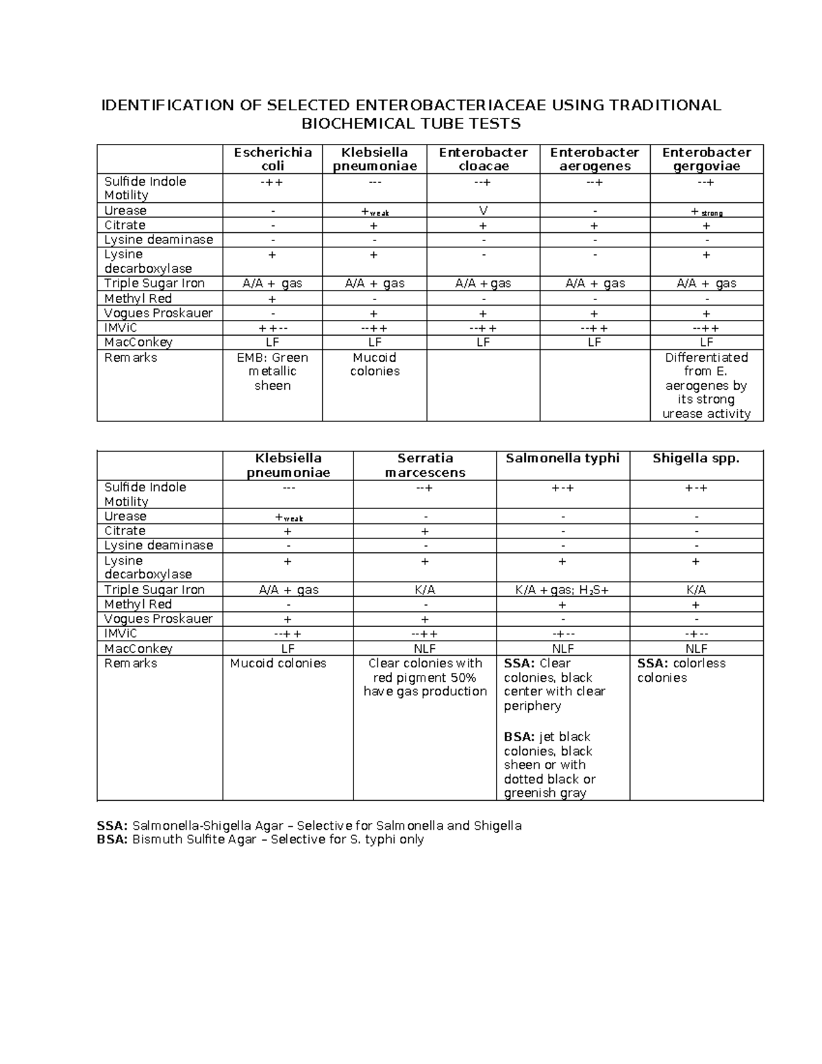Enterobacteriaceae - bacteria - IDENTIFICATION OF SELECTED ...