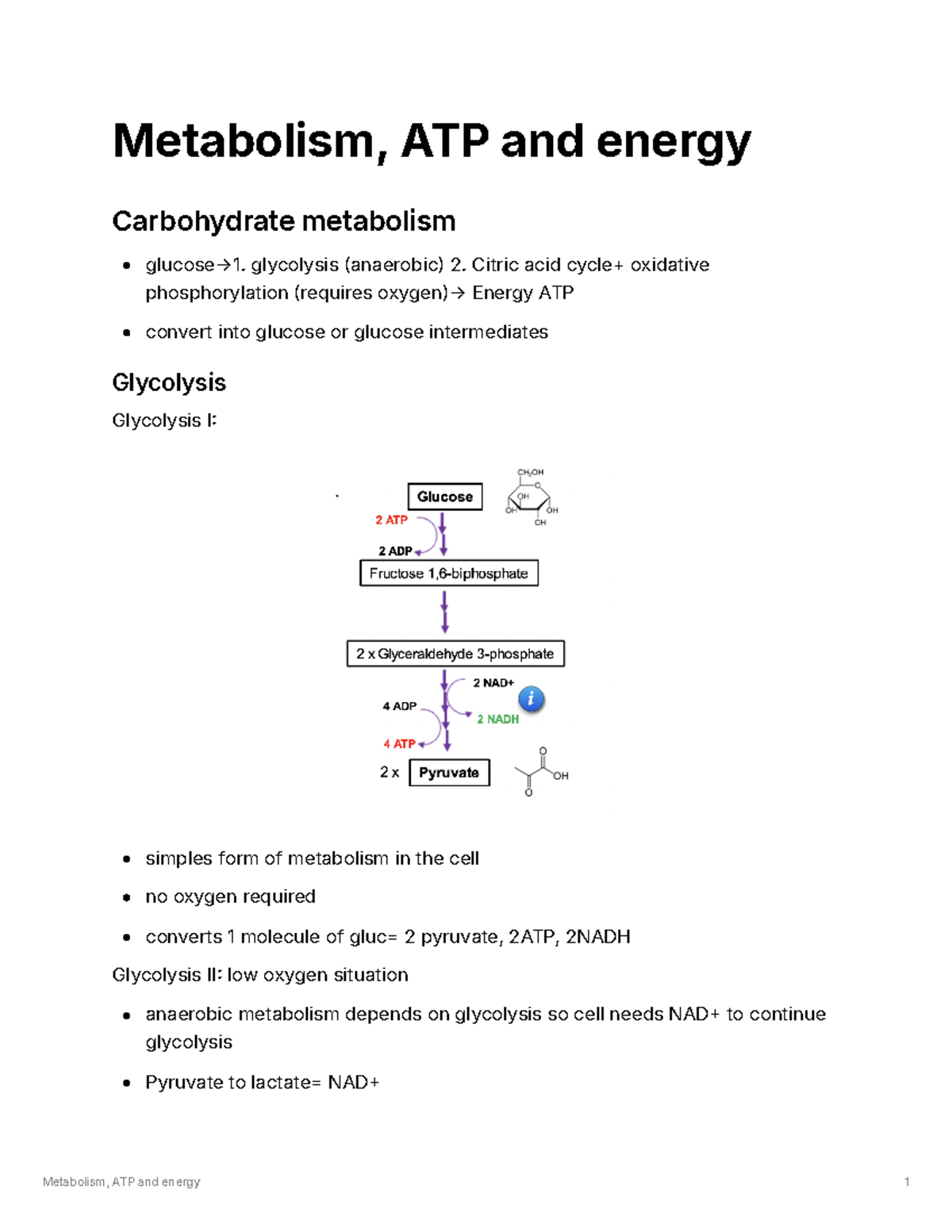 Metabolism ATP and energy - Metabolism, ATP and energy Carbohydrate ...