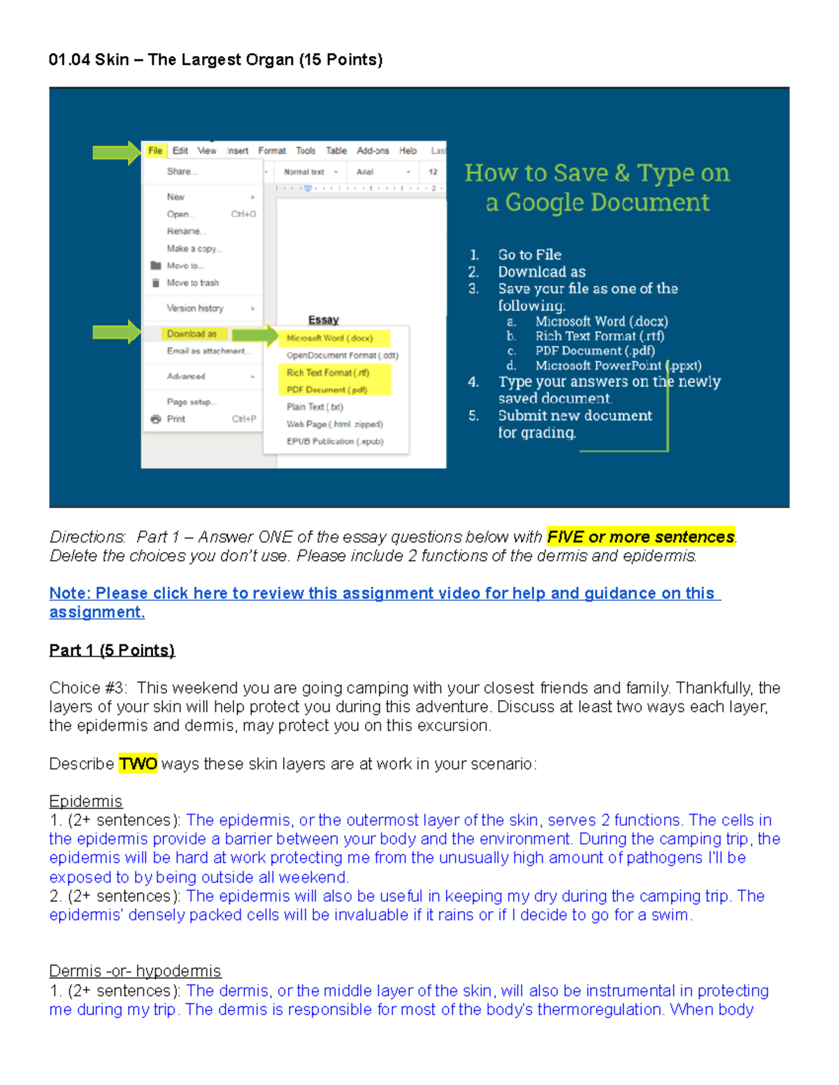 1.04 skin - balls, sack - 01 Skin – The Largest Organ (15 Points ...