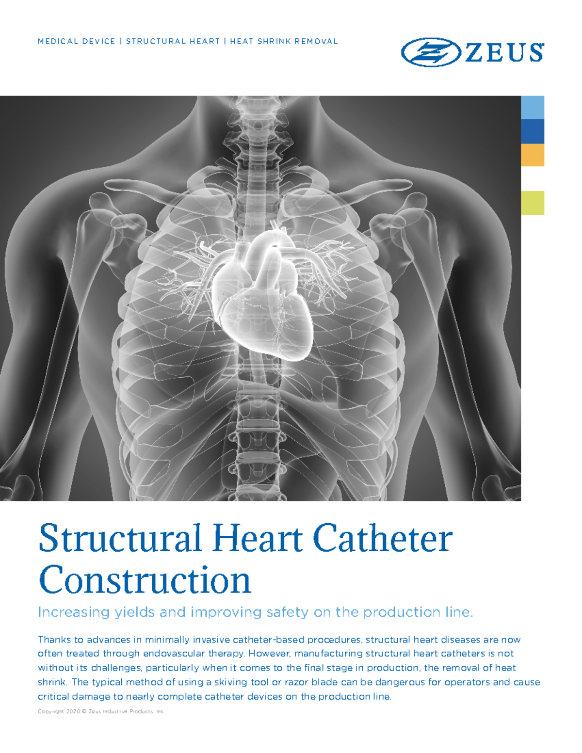 Structural Heart Catheter Construction Fluoro Peelz V1R2 - Copyright ...