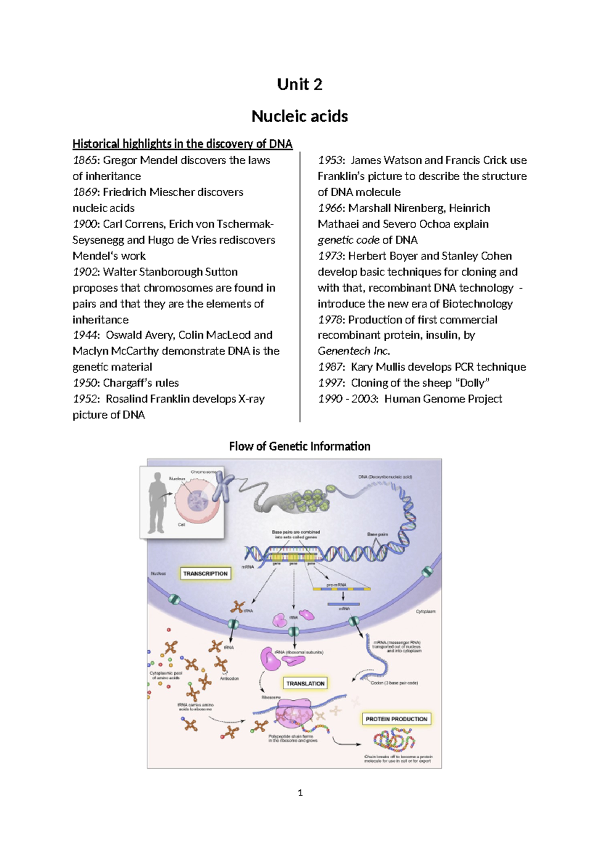 Unit 2 - study unit 2 biochemistry 213 - Unit 2 Nucleic acids ...