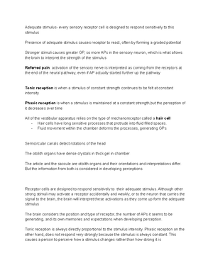 Senses Notes - Sensation Objectives: Describe how receptor cells ...