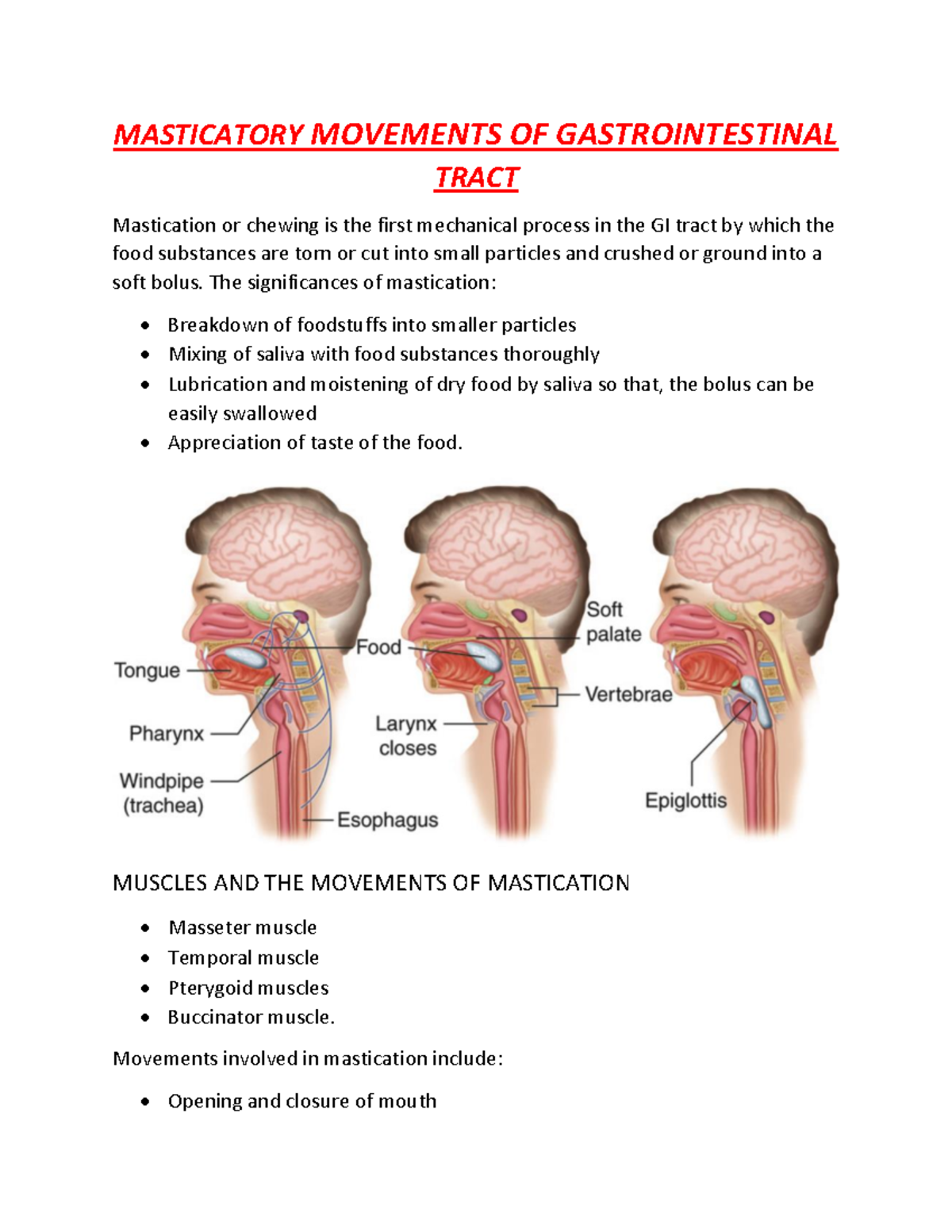 Masticatory Movements OF Gastrointestinal Tract - MASTICATORY MOVEMENTS ...
