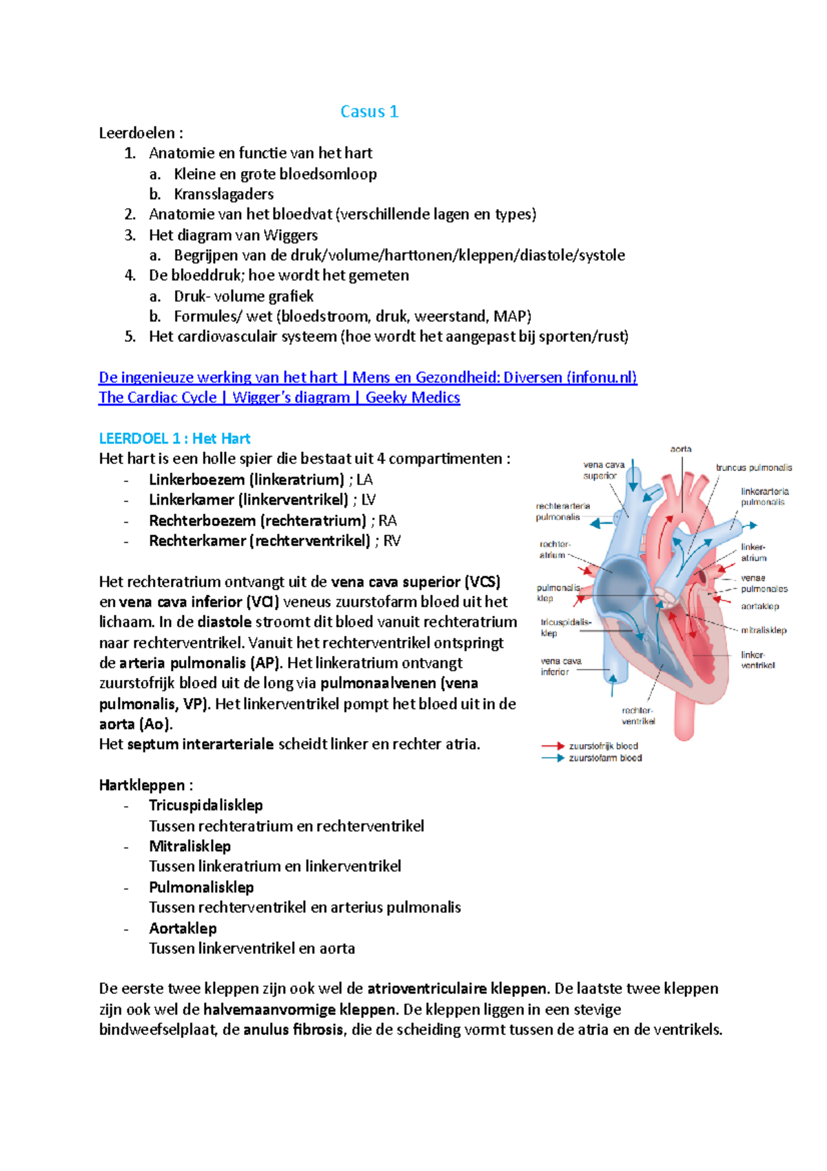 Casus 1 GNK1102 - Casus 1 Leerdoelen : 1. Anatomie en functie van het ...