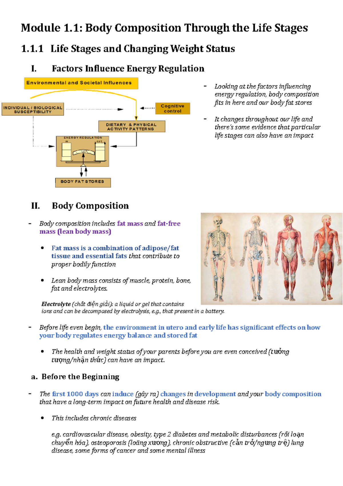 Module 1.1 Body Composition Through the Life Stages - Module 1: Body ...