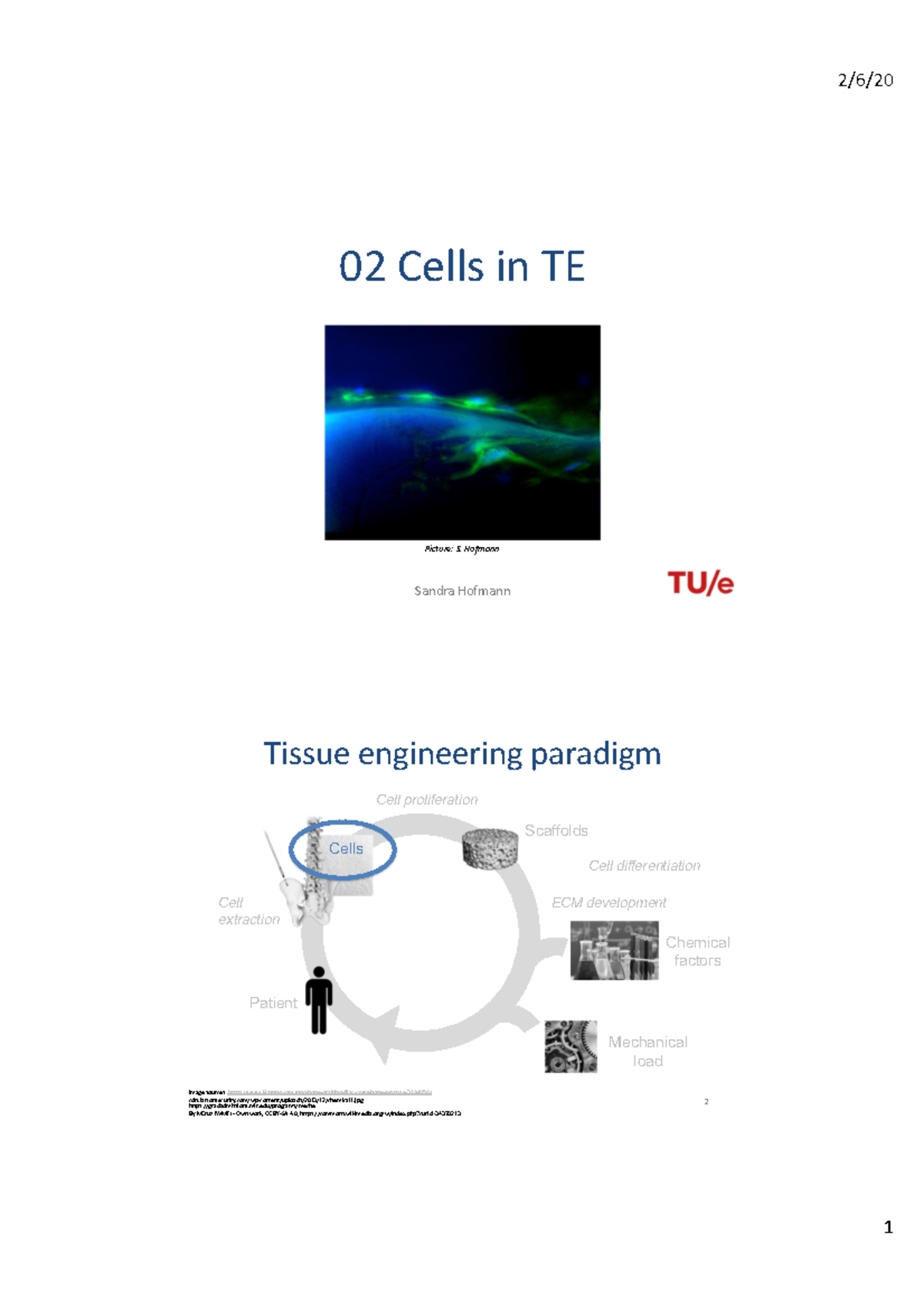 College 2 cells - Warning: TT: undefined function: 32 Warning: TT: undefined function: 32 ...