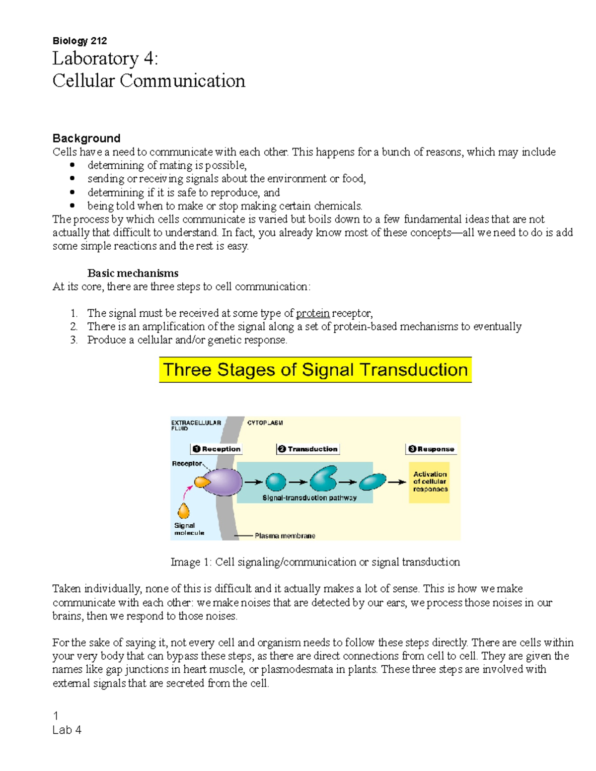 Lab 4 Cellular Communication - Biology 212 Laboratory 4: Cellular ...