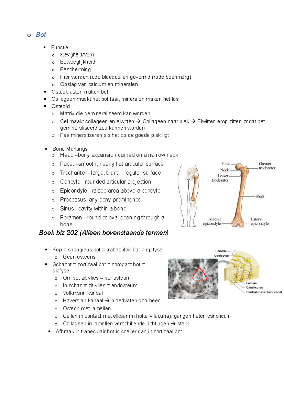 Samenvatting bot - o Bot Functie: o o Beweeglijkheid o Bescherming o ...