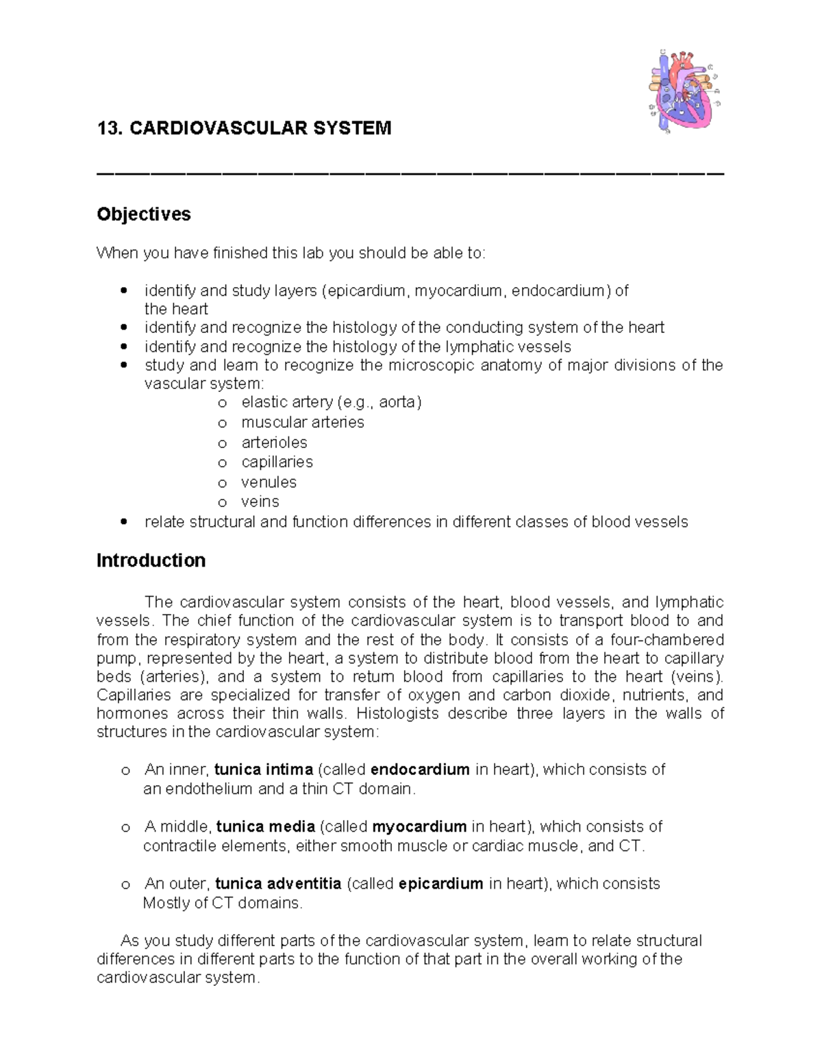 Cardiovascular System - 13. CARDIOVASCULAR SYSTEM - Studocu