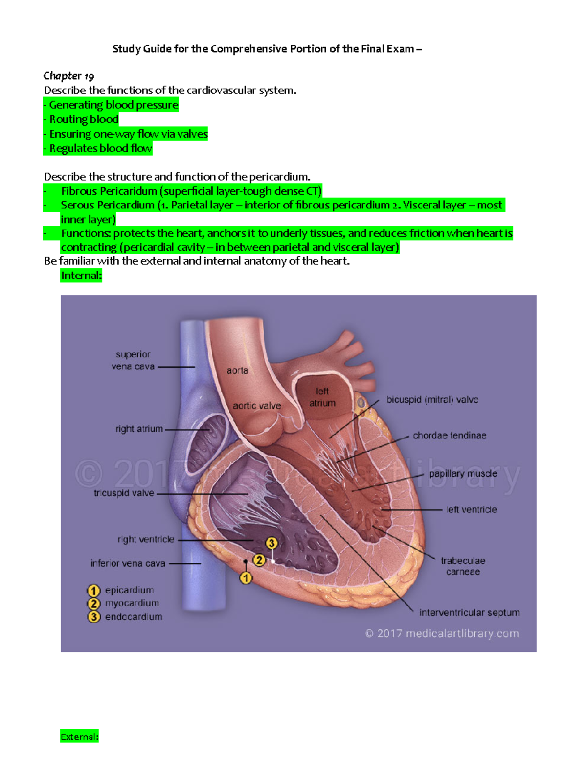 Bio 206 Final Study Guide - Chapter 19 Study Guide for the ...