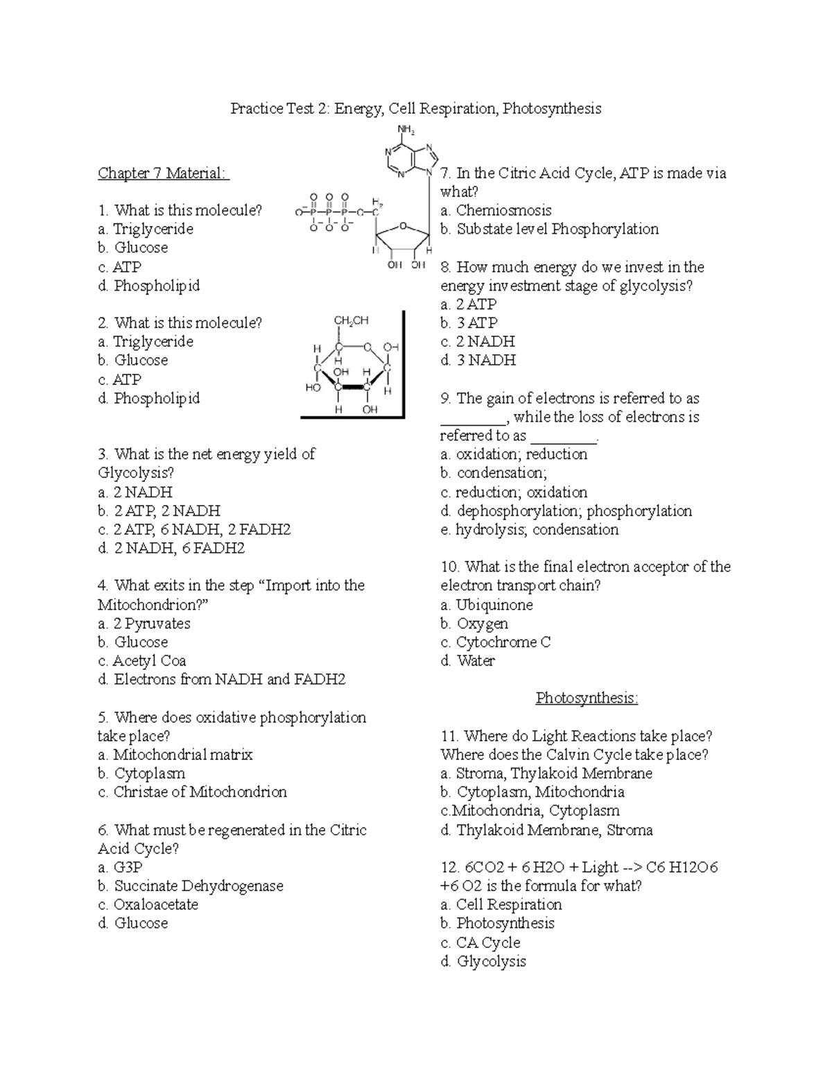 Practice Exam 2 - DNA properties worksheet with answers - Practice Test ...