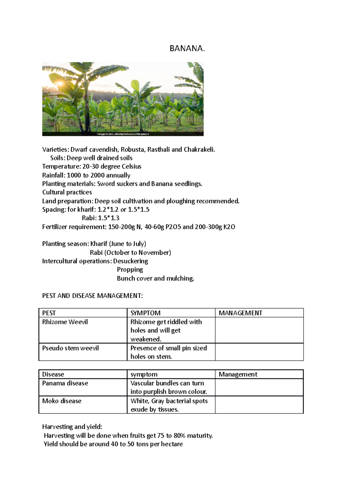 Banana - it is useful Information - BANANA. Varieties: Dwarf cavendish ...