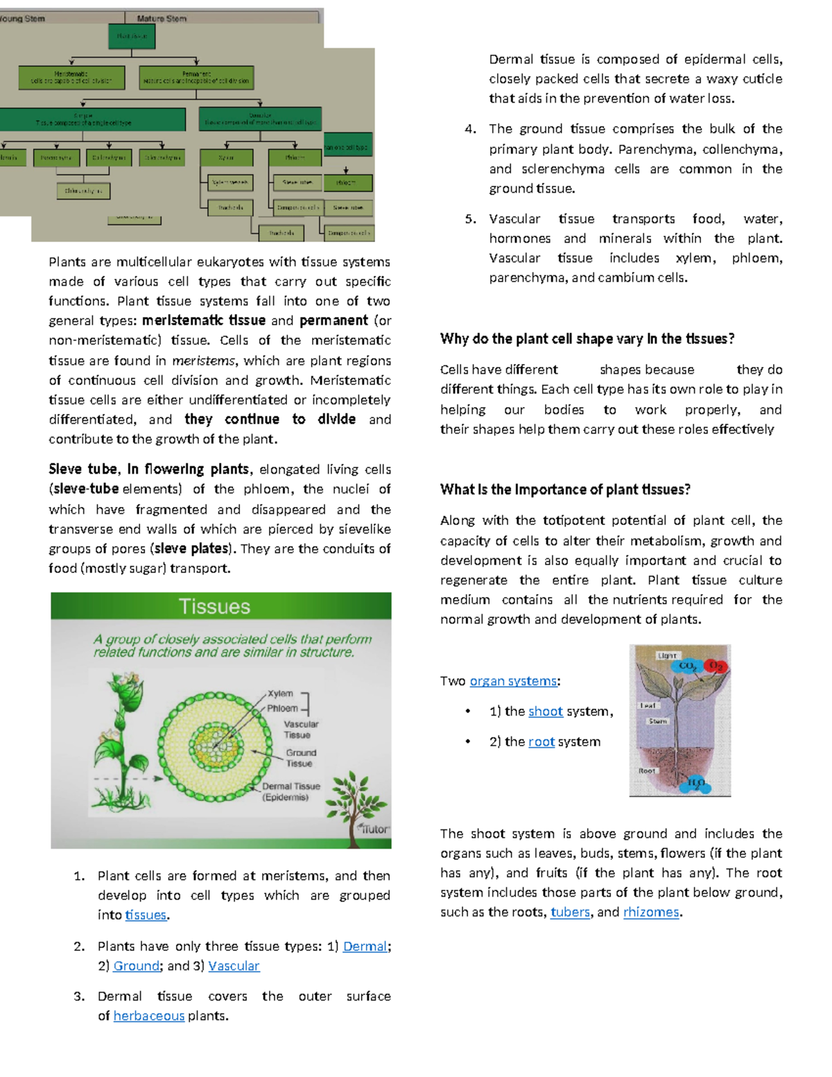 Botany notes - Plants are multicellular eukaryotes with tissue systems ...