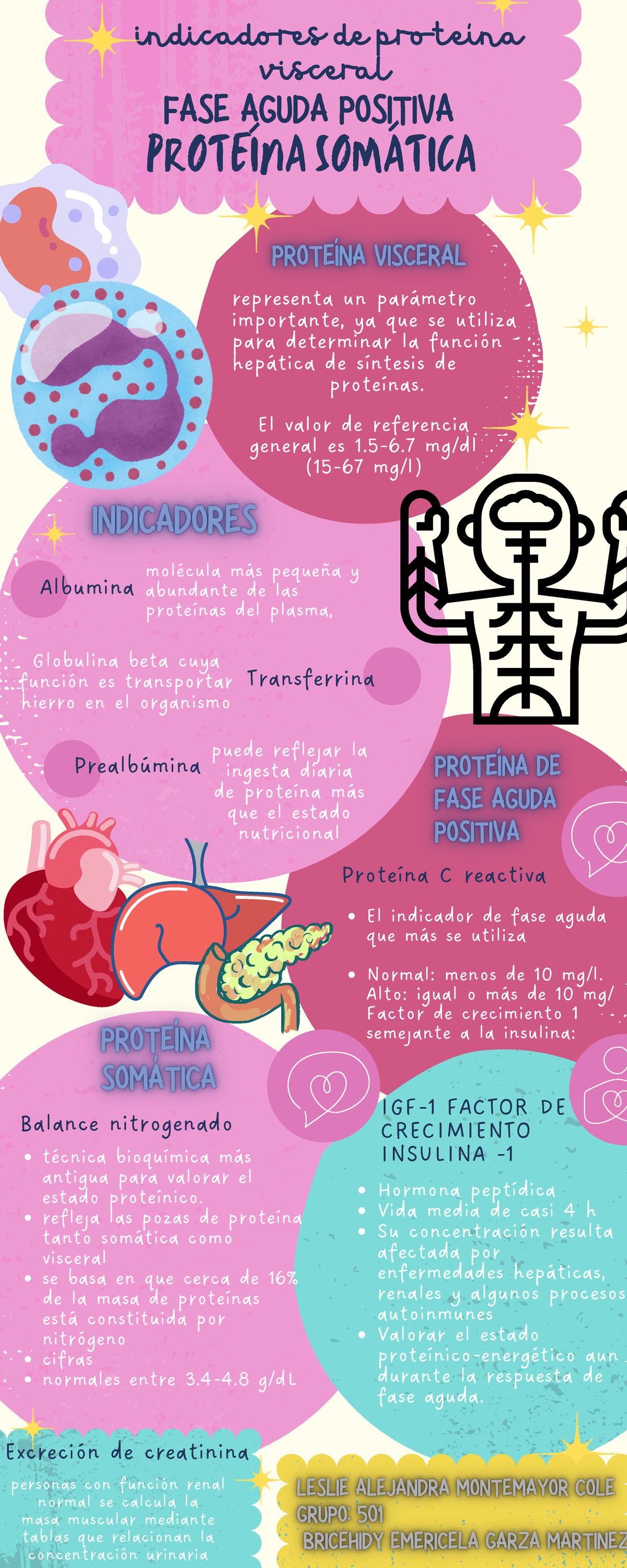 Infografia - FASE AGUDA POSITIVA indicadores de proteína visceral El ...