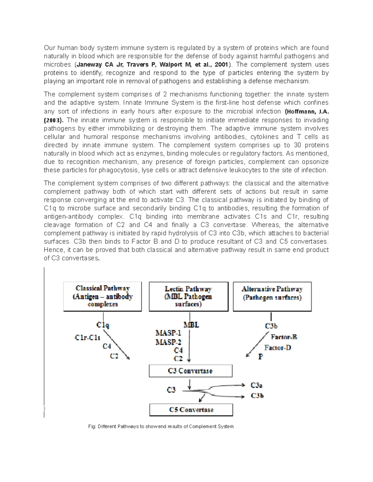 Complement Intro - Our human body system immune system is regulated by ...