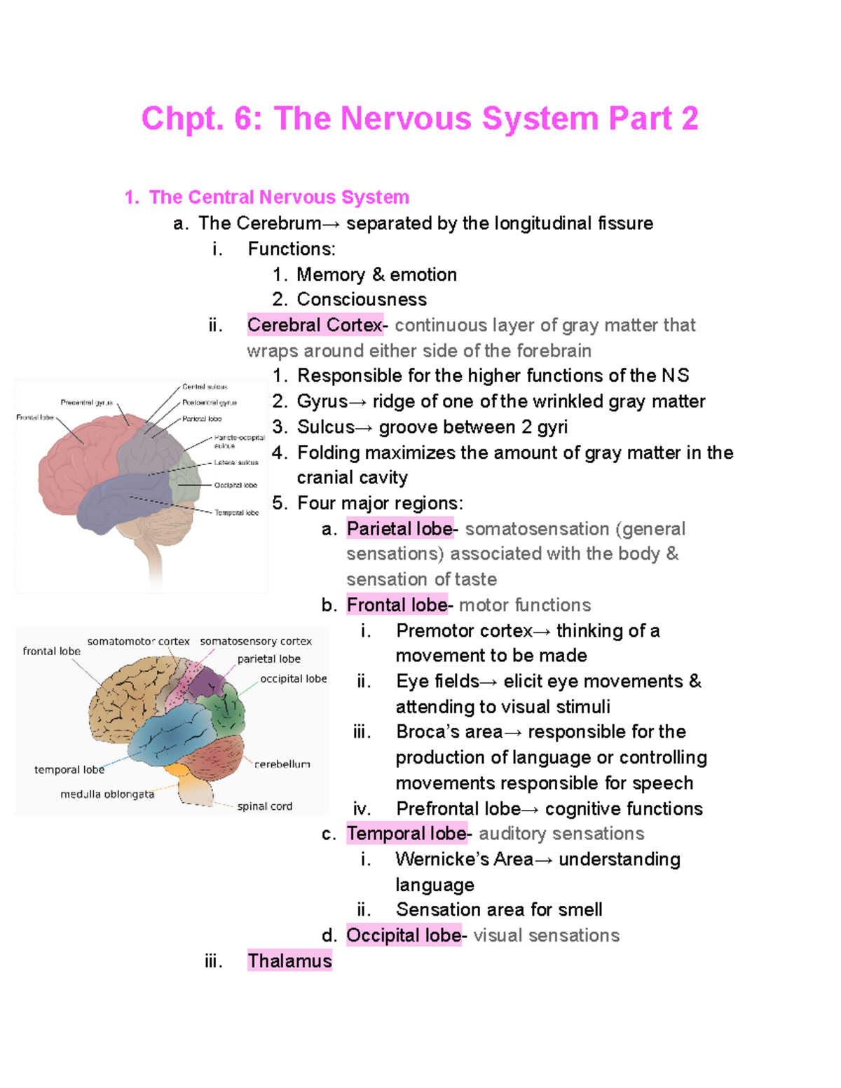 Chpt. 6 notes-2 - chapter notes - Chpt. 6: The Nervous System Part 2 1 ...