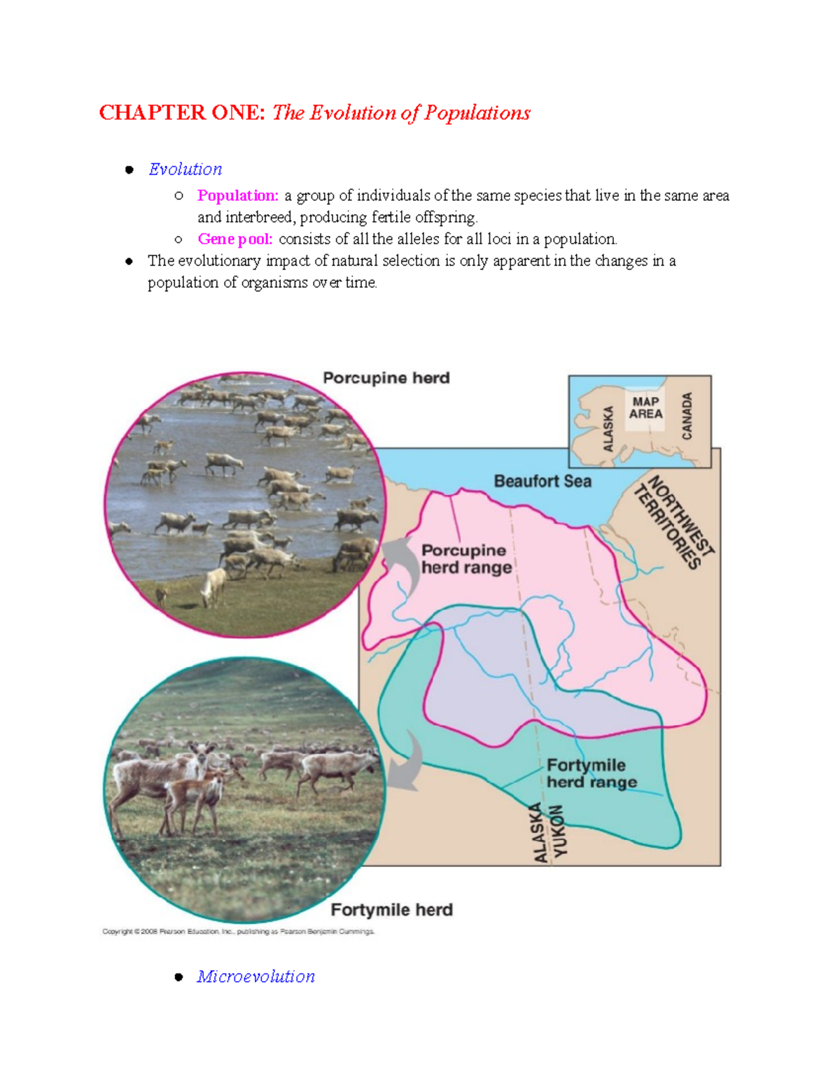 Bio 182 Chapter 23 Evolution - CHAPTER ONE: The Evolution of ...