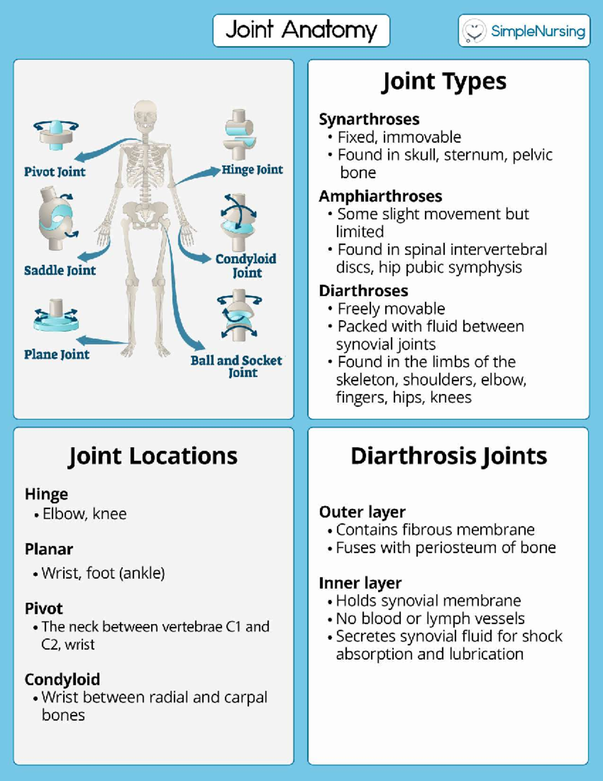 3. Joint Anatomy - Joint Anatomy SimpleNursing Joint Types Synarthroses ...