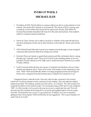 THE IT Professional-ILES - THE IT PROFESSIONAL MICHAEL ILES IT-200-J ...