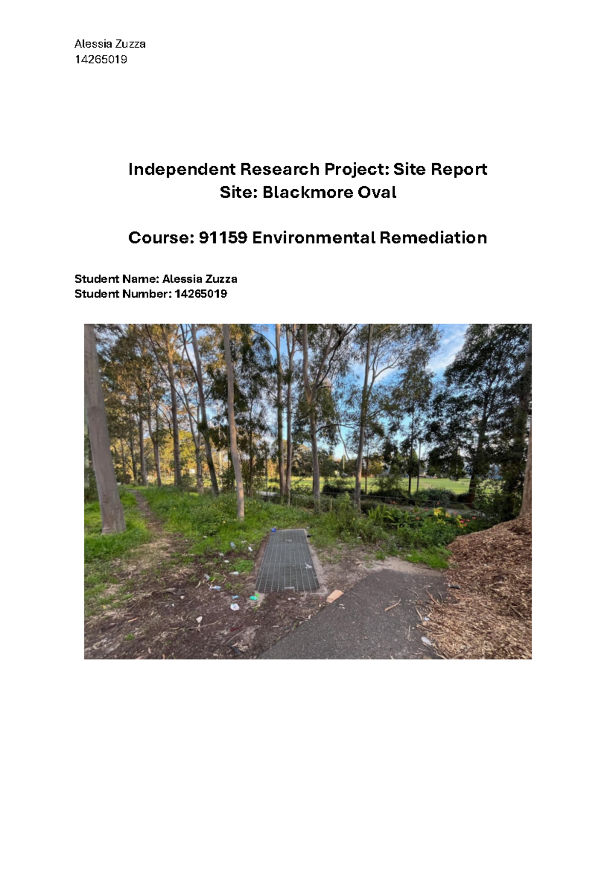 91159 IRP Site Report - 14265019 Independent Research Project: Site ...