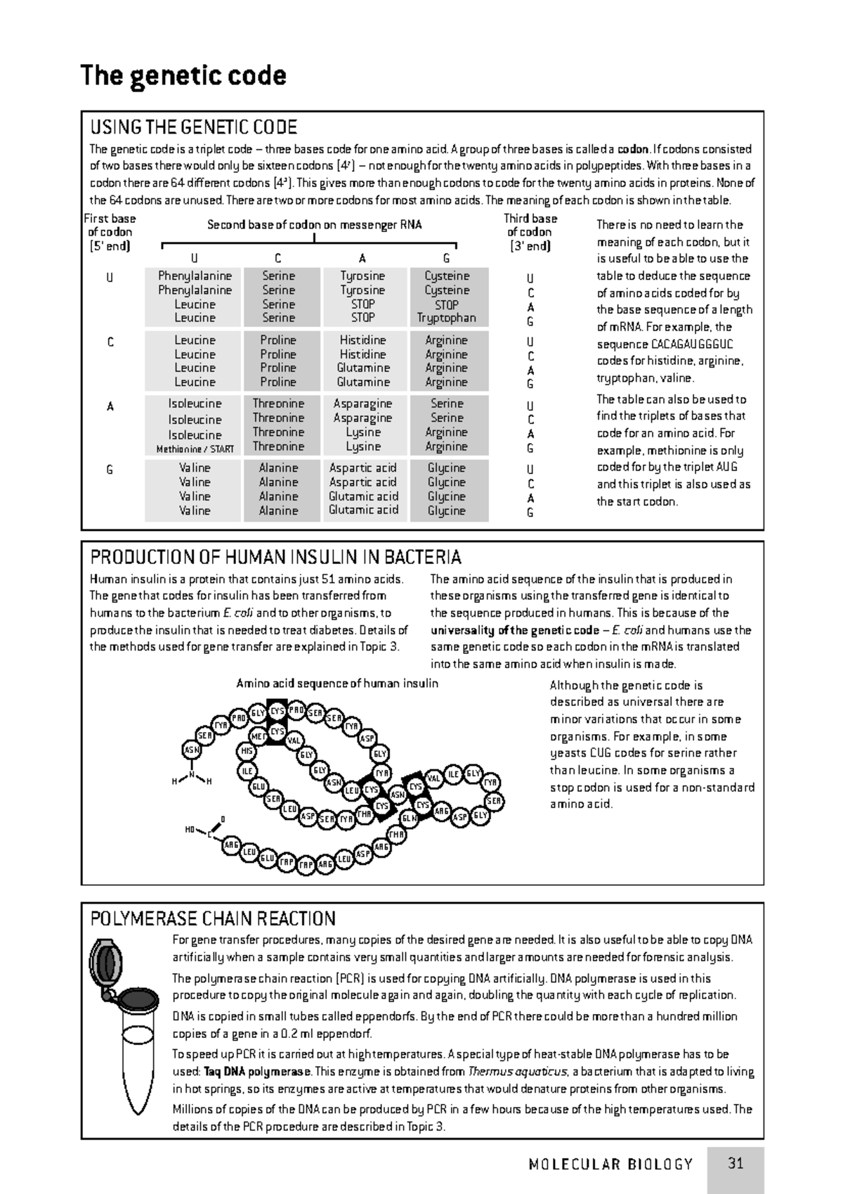 Biology study guide - 3 - M o l e c u l a r B I o l o G Y 31 The ...