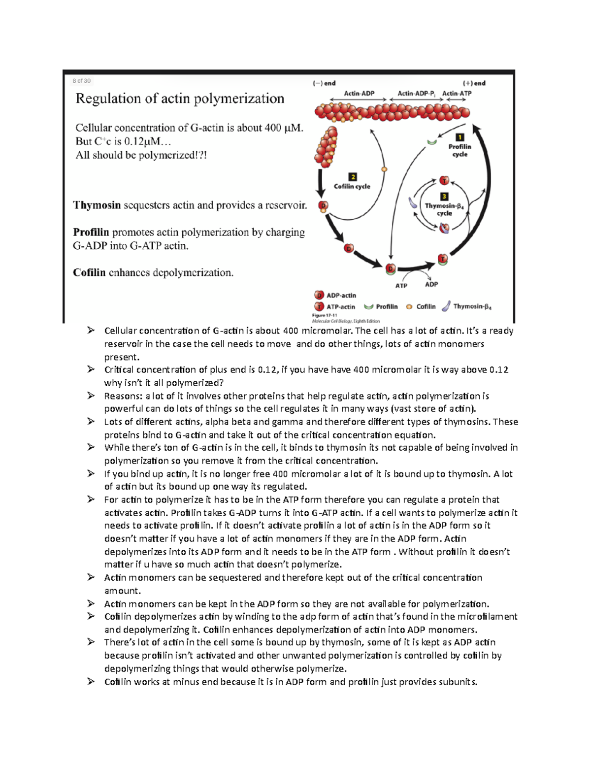 Lecture Notes- Biology 2382 - Biology 2382B - UWO - Studocu