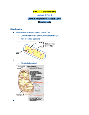 BIO 311 Lecture 5 Part 3 Fall 2020 - BIO 311 - Biochemistry Lecture 5 ...