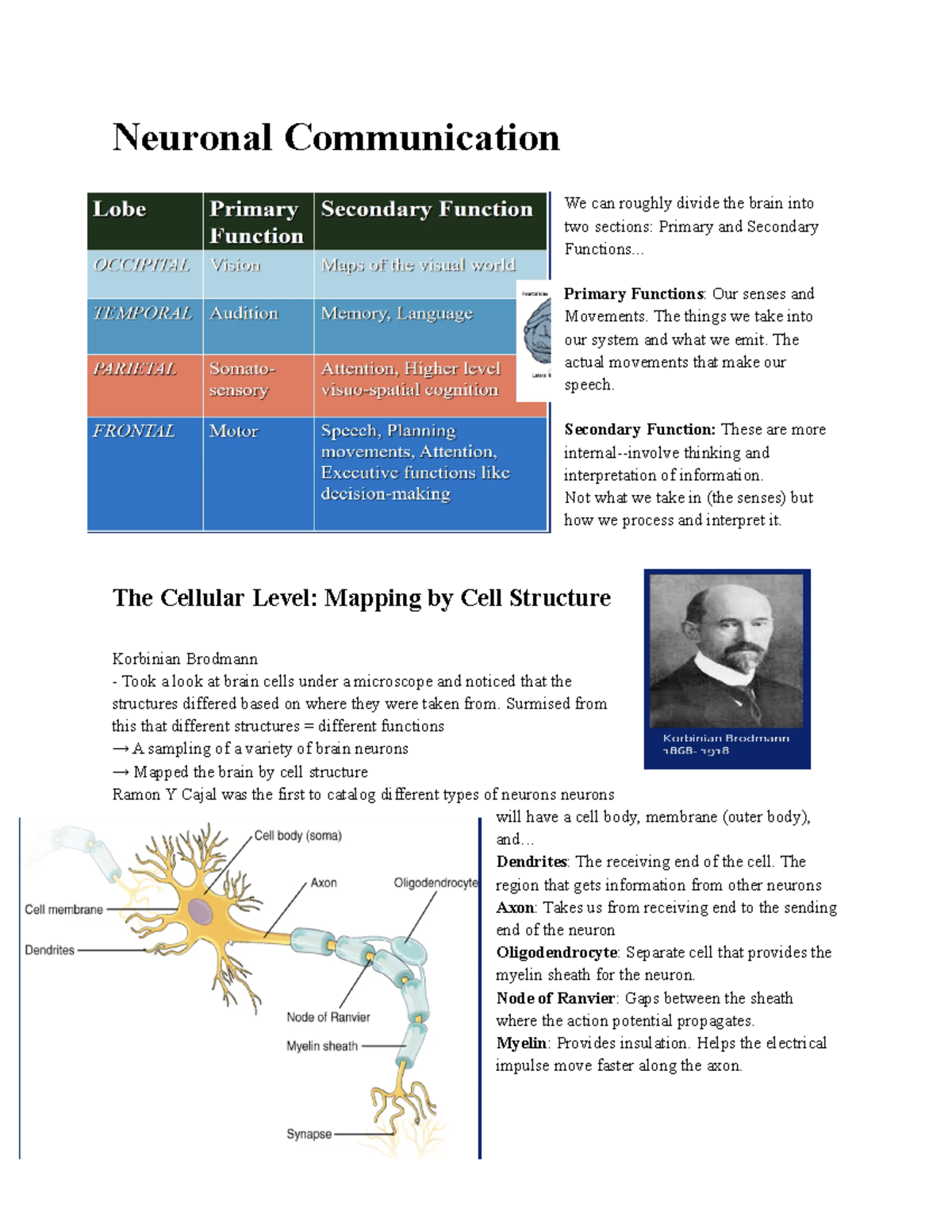 Neuronal Communication Notes - Neuronal Communication We can roughly ...
