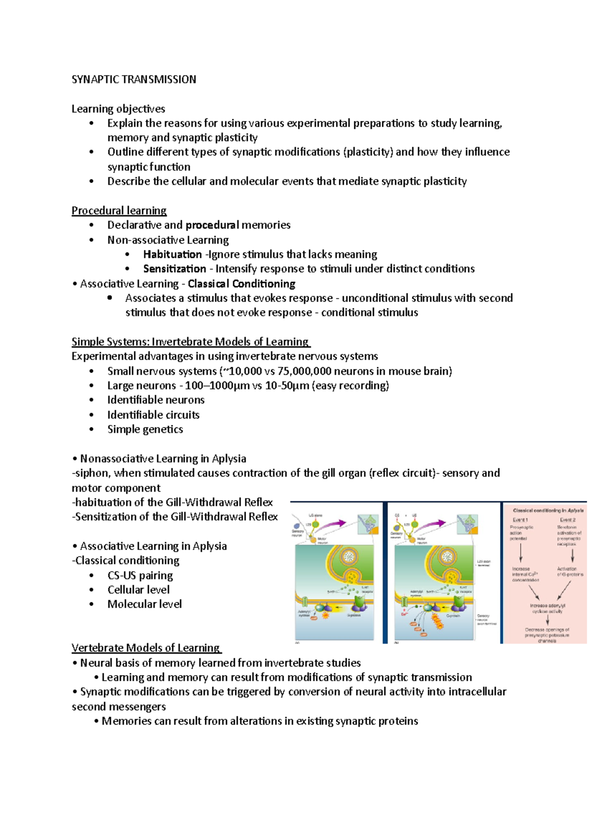 4- synaptic transmission 2 - SYNAPTIC TRANSMISSION Learning objectives ...